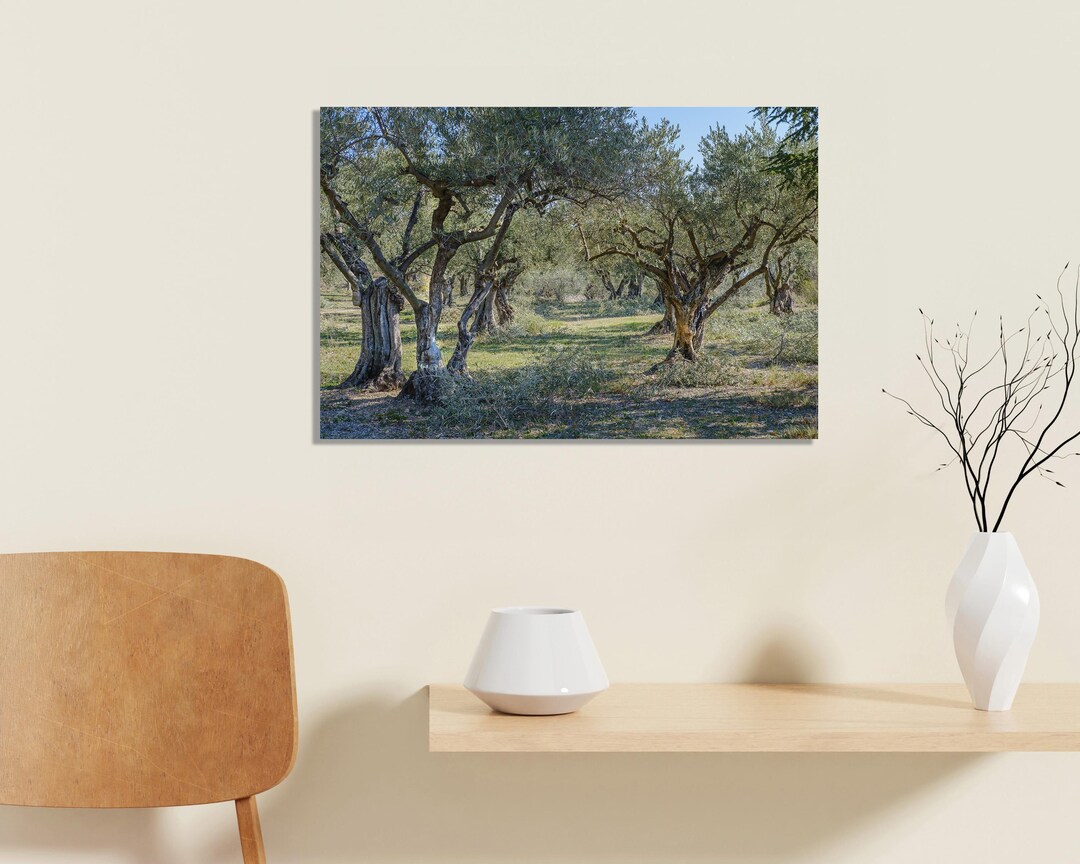 In Our Hills the Olive Trees Dance the Madison - Etsy