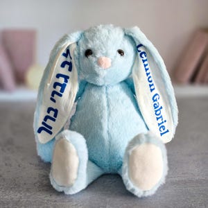 Jewish Baby Naming Gift, Custom Plush Bunny for Kids, Personalized ...