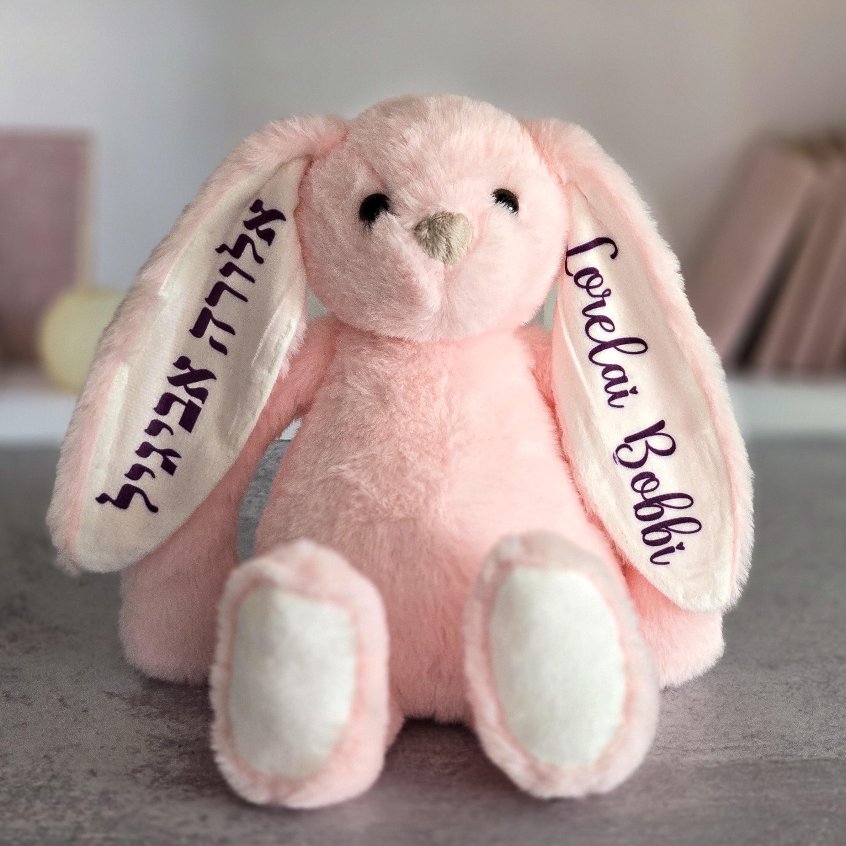 Personalized Am Yisrael Chai Plush Bunny Rabbit, Jewish Baby Naming ...