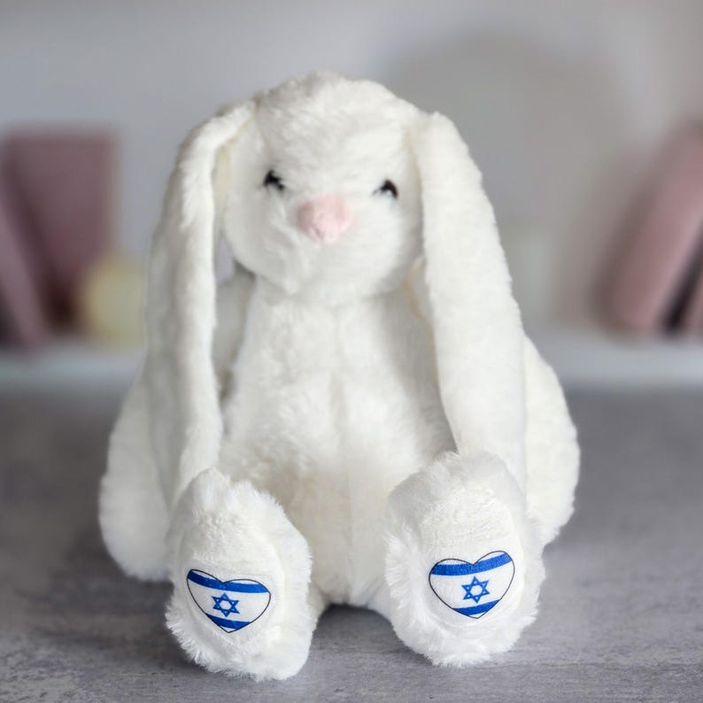 Personalized Am Yisrael Chai Plush Bunny Rabbit, Jewish Baby Naming ...