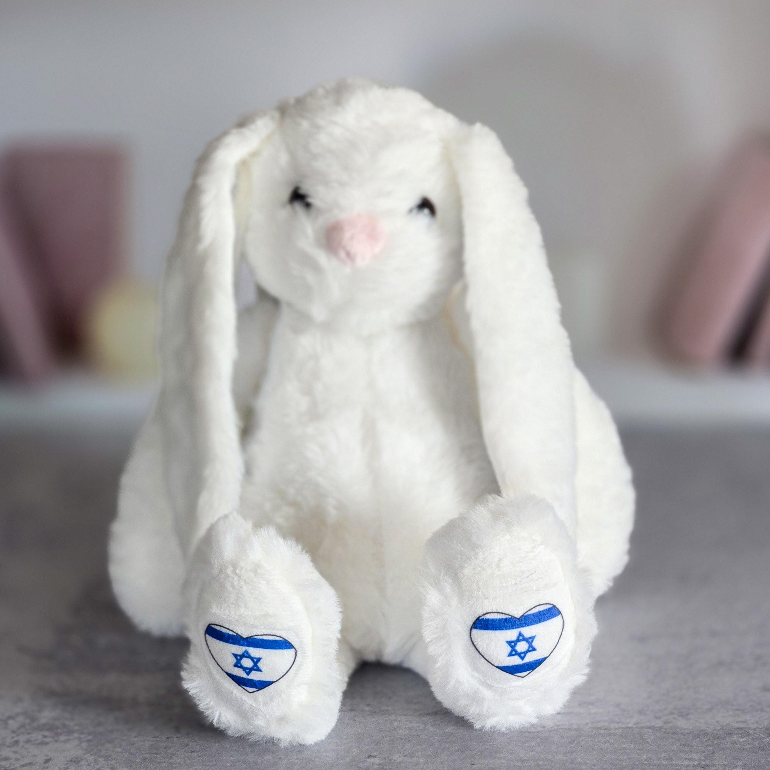 Personalized Am Yisrael Chai Plush Bunny Rabbit, Jewish Baby Naming ...