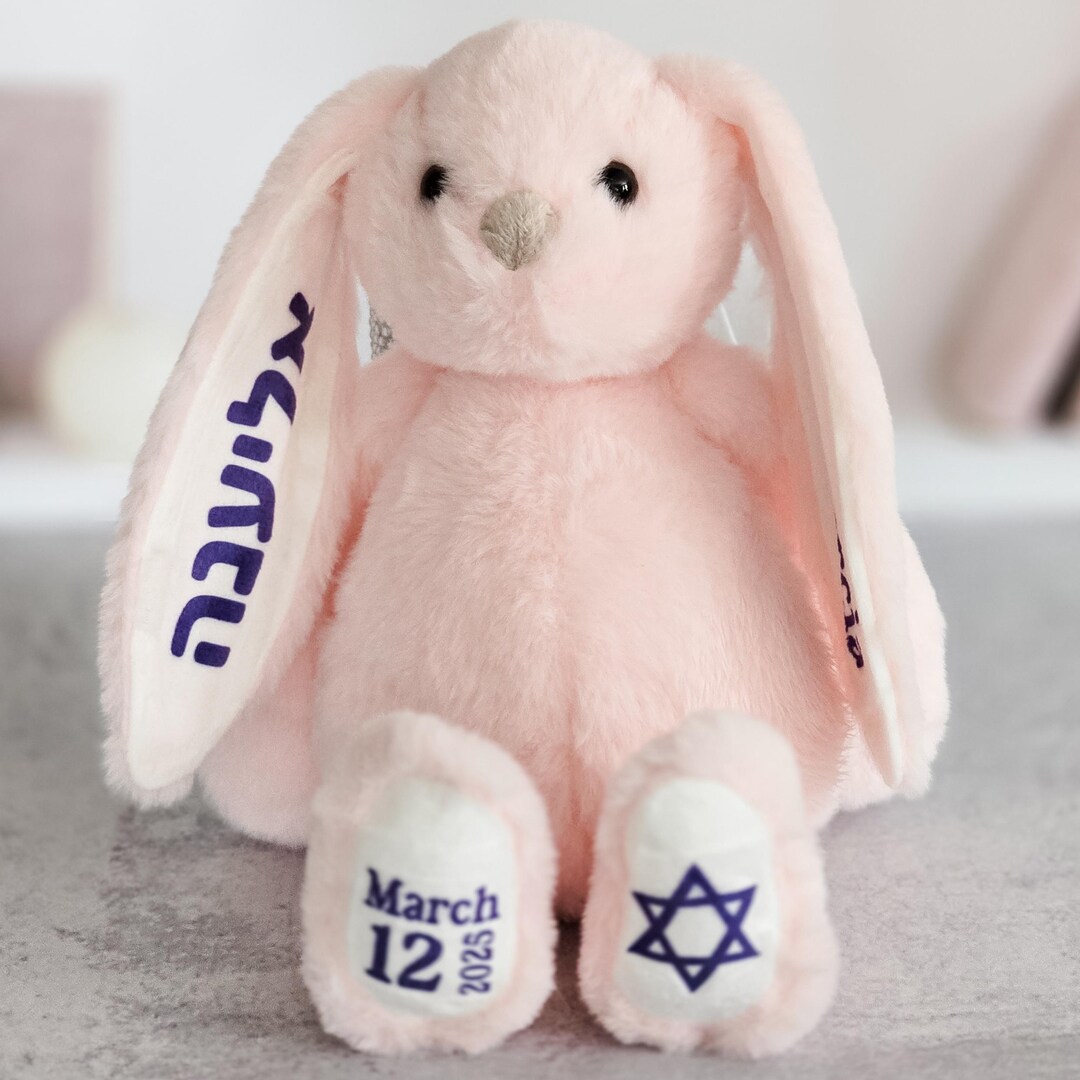 Jewish Baby Naming Gift, Custom Plush Bunny for Kids, Personalized ...
