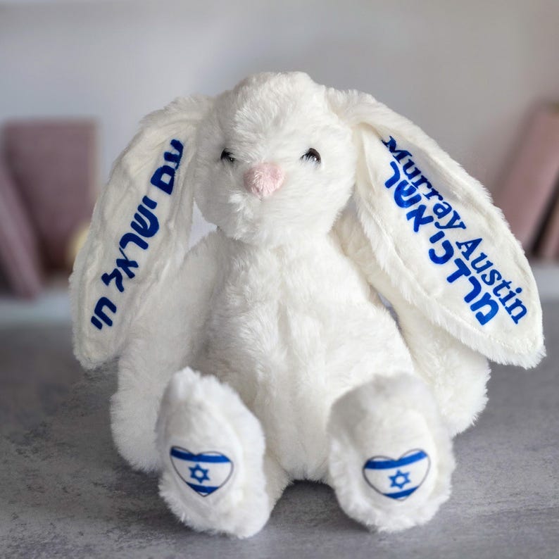 Personalized Am Yisrael Chai Plush Bunny Rabbit, Jewish Baby Naming ...