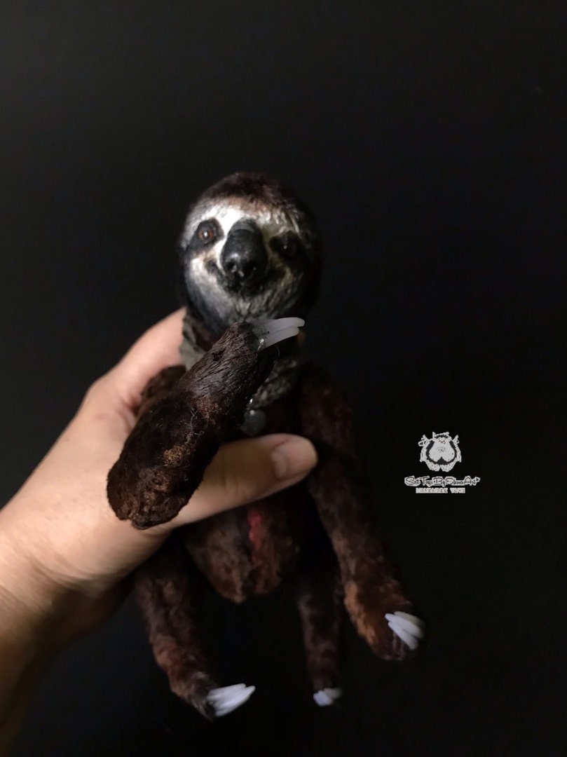 The Three-toed Sloth. Animals. A Plush Toy. Teddy the Sloth. A Stuffed ...