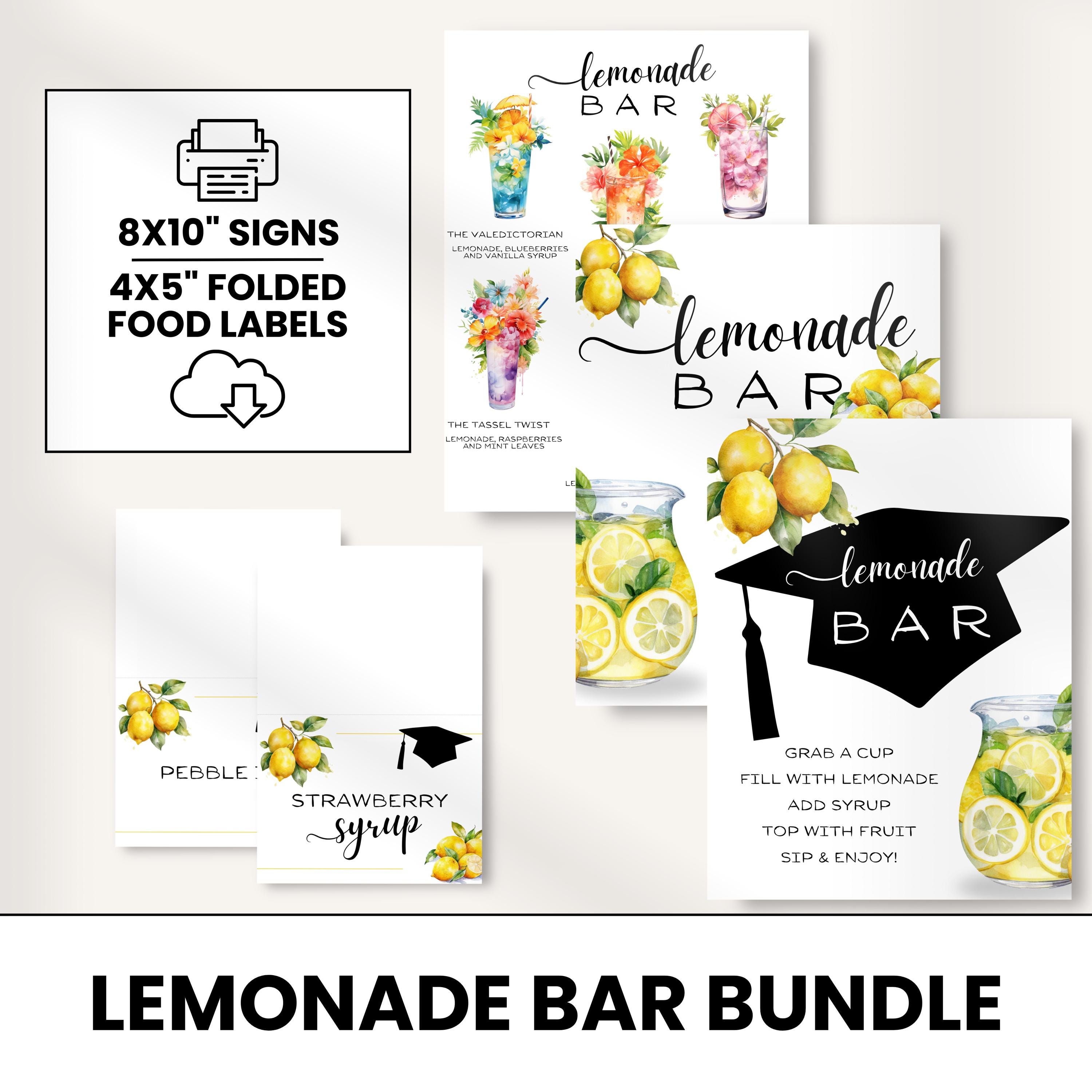 Lemonade Bar Sign Graduation Party, Editable Printable Drink Station ...