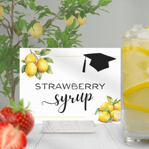 Lemonade Bar Sign Graduation Party, Editable Printable Drink Station ...