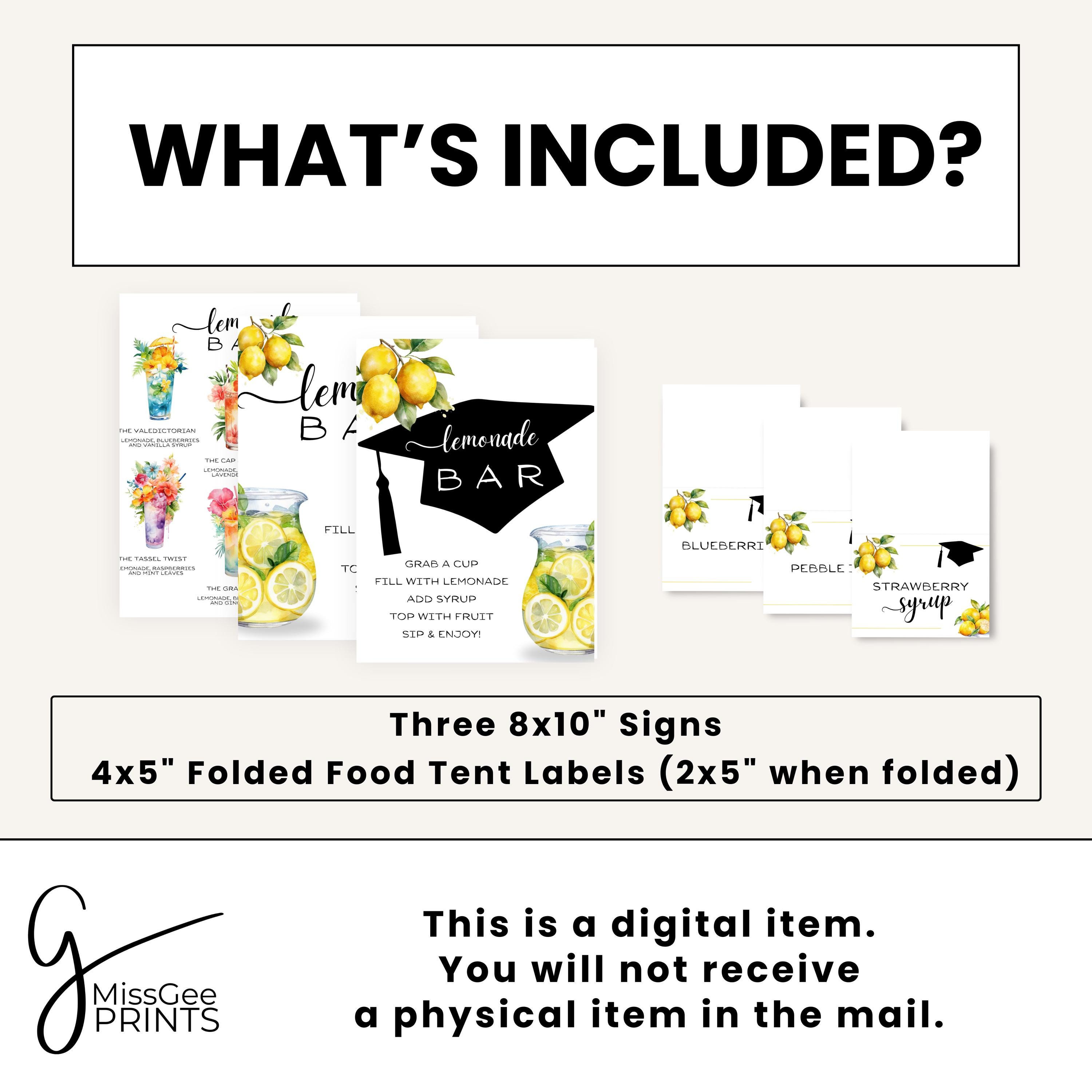 Lemonade Bar Sign Graduation Party, Editable Printable Drink Station ...