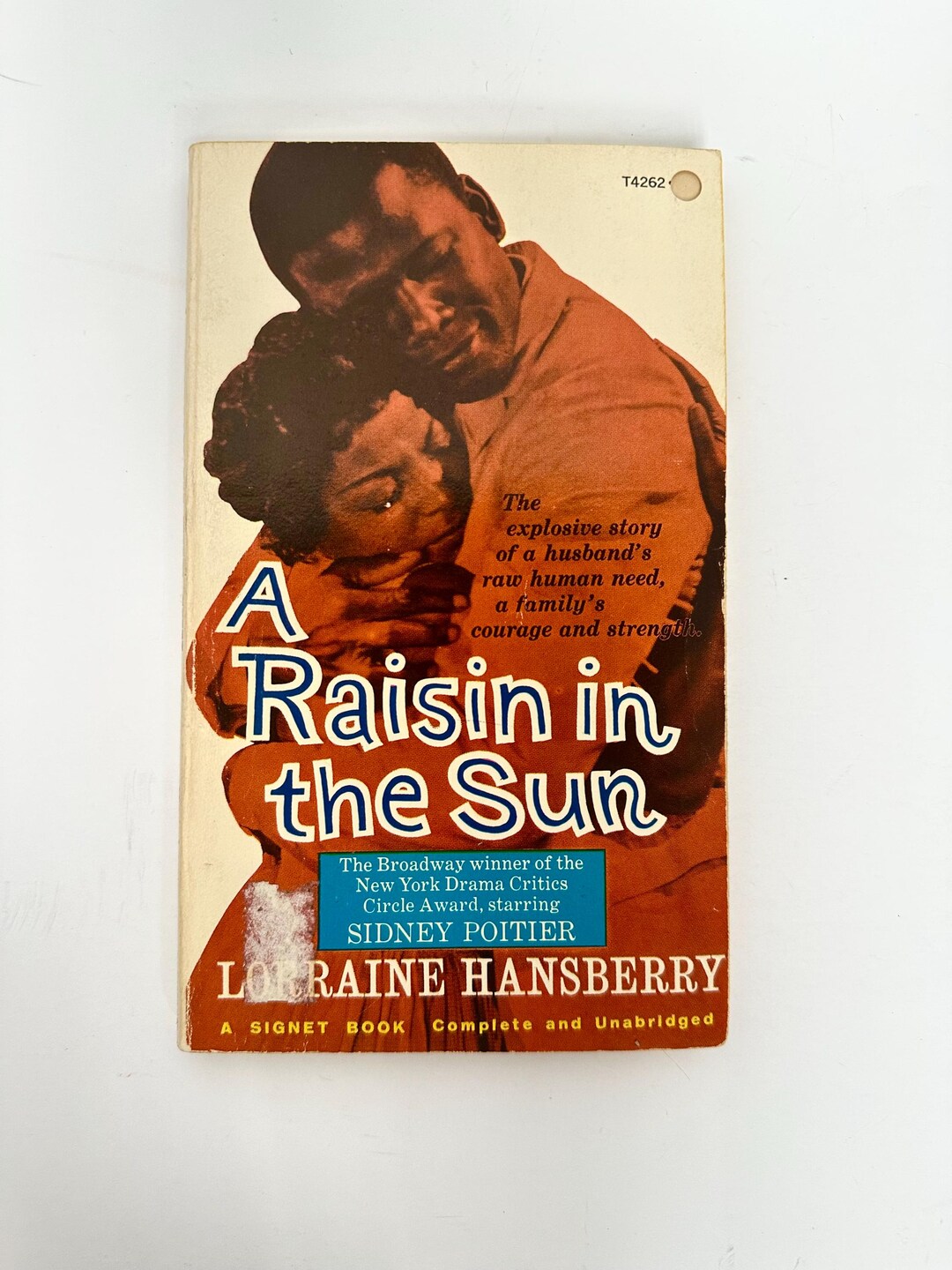 A Raisin in the Sun Lorraine Hansberry - Etsy
