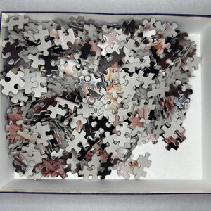 Bepuzzled Imposibles Borderless Cat and Mouse Puzzle - Etsy