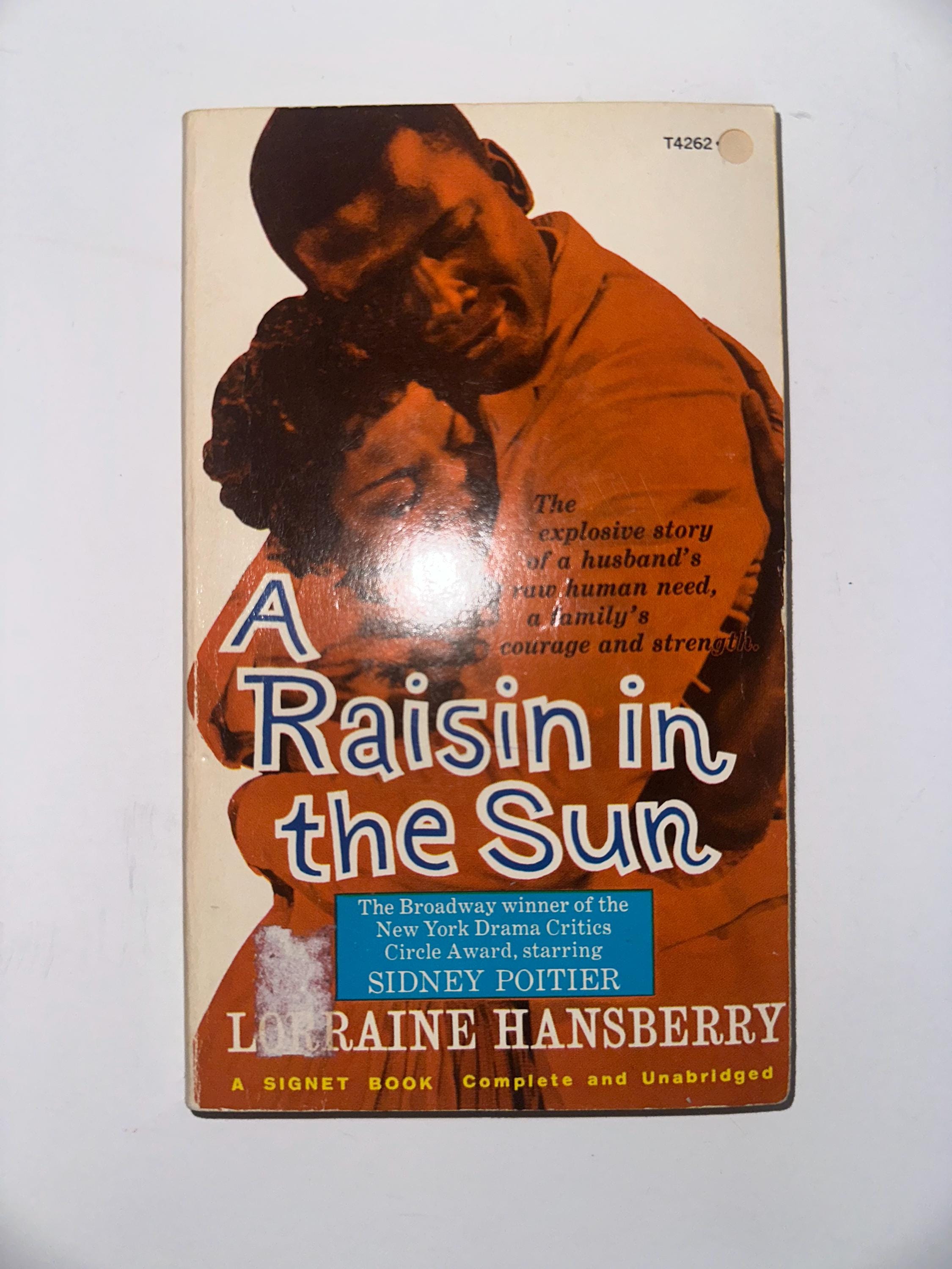 A Raisin in the Sun Lorraine Hansberry - Etsy