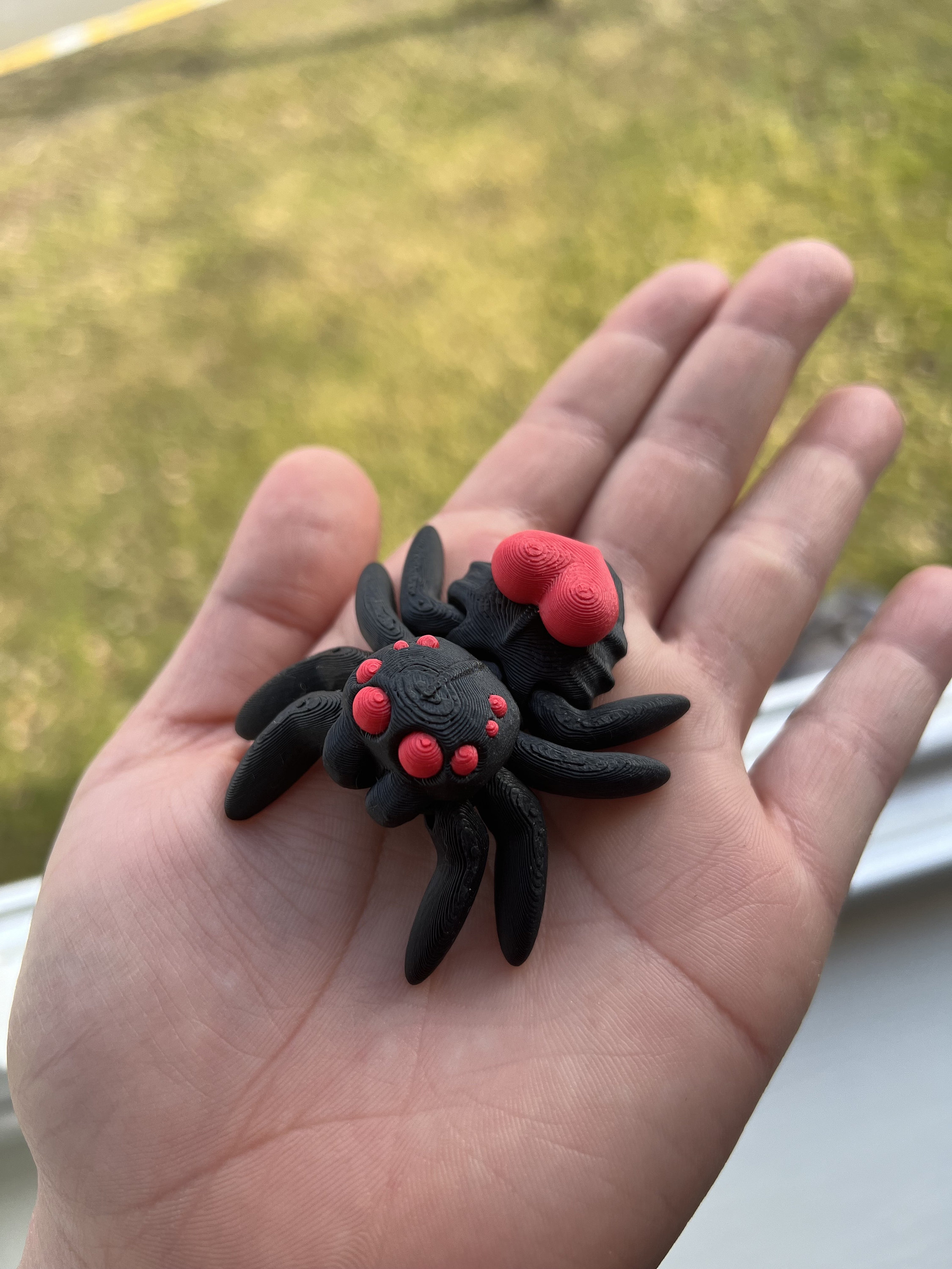 Unique 3D Printed Spider Fidget Toy Baby Jumping Spiders Articulated ...