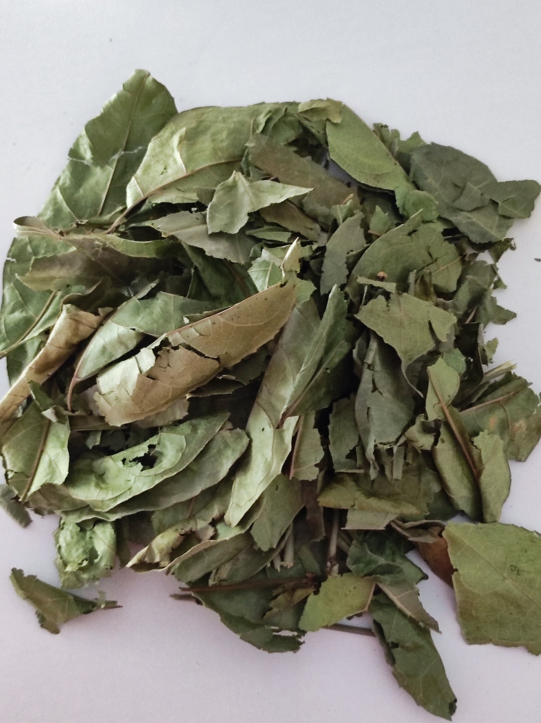 Feuille d' hysope bio d' africaine la purification chance déblocage ...