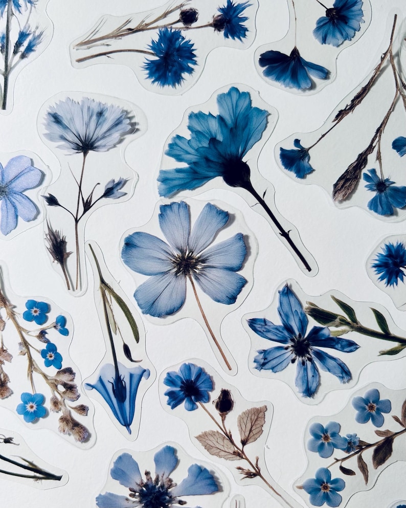 Blue Flower Stickers – Transparent Botanical Dried Flower Decals for ...
