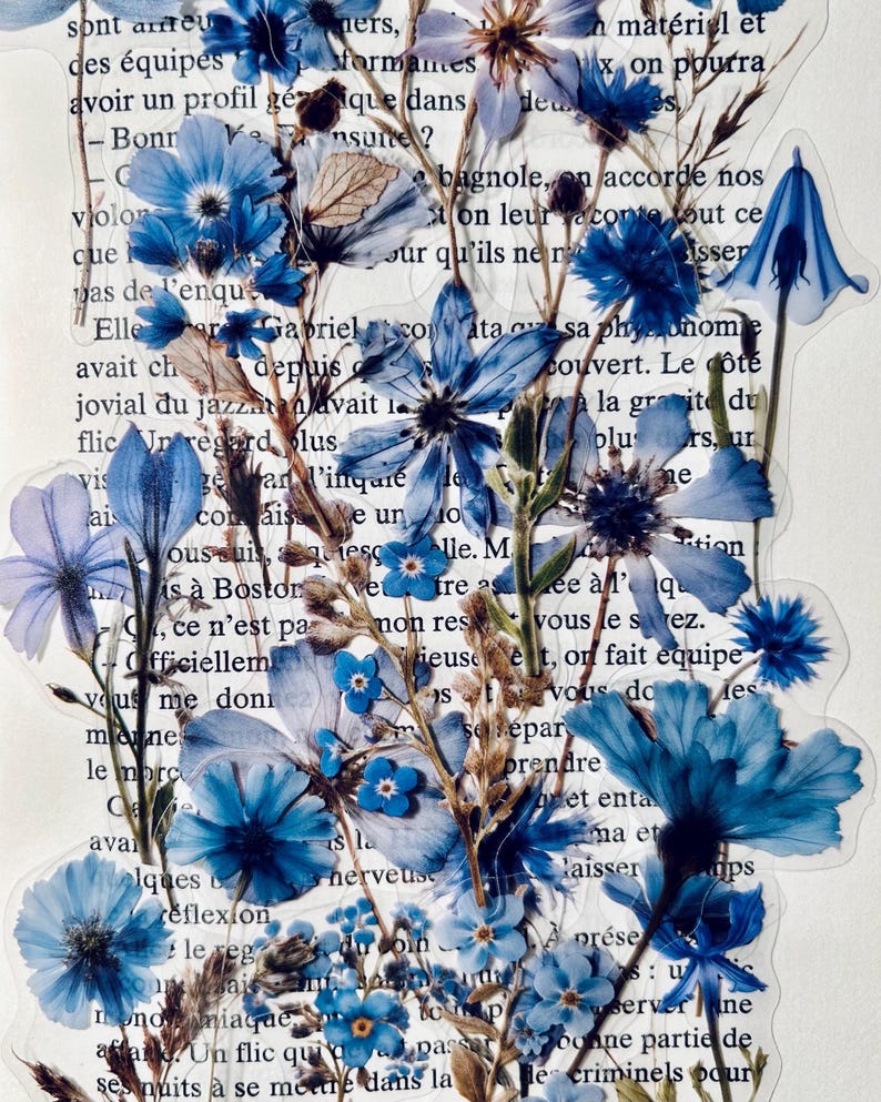 Blue Flower Stickers – Transparent Botanical Dried Flower Decals for ...