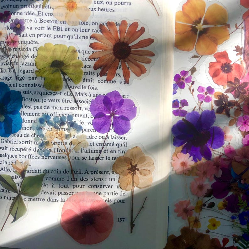 Pressed Flower Stickers – Wildflowers & Dried Flowers Stickers for ...