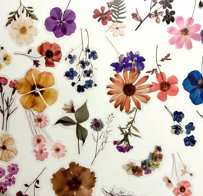 Pressed Flower Stickers – Wildflowers & Dried Flowers Stickers for ...