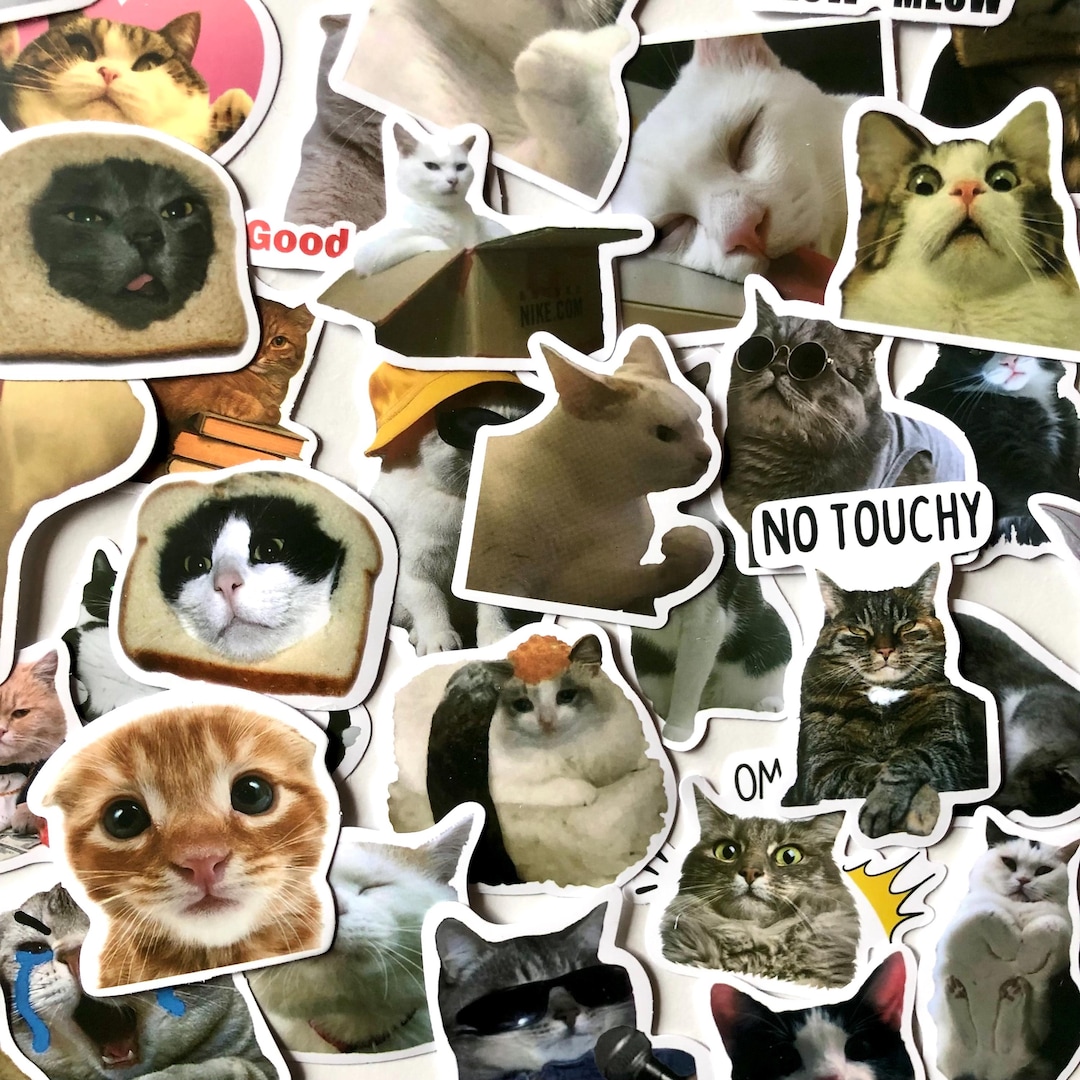 Cat Stickers, 100PCS Funny Cat Memes Sticker Bundle, Cute Stickers for ...