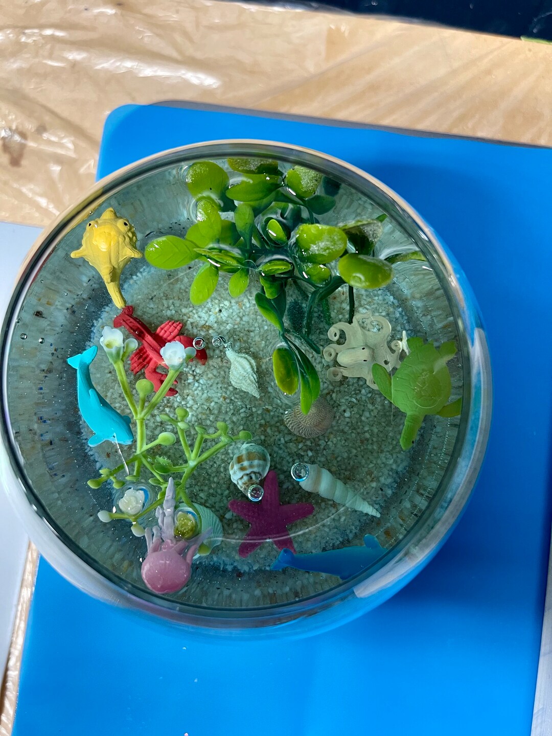 Personalized Sea Life Bowl or Wall Aquarium for Your Home or Office! - Etsy