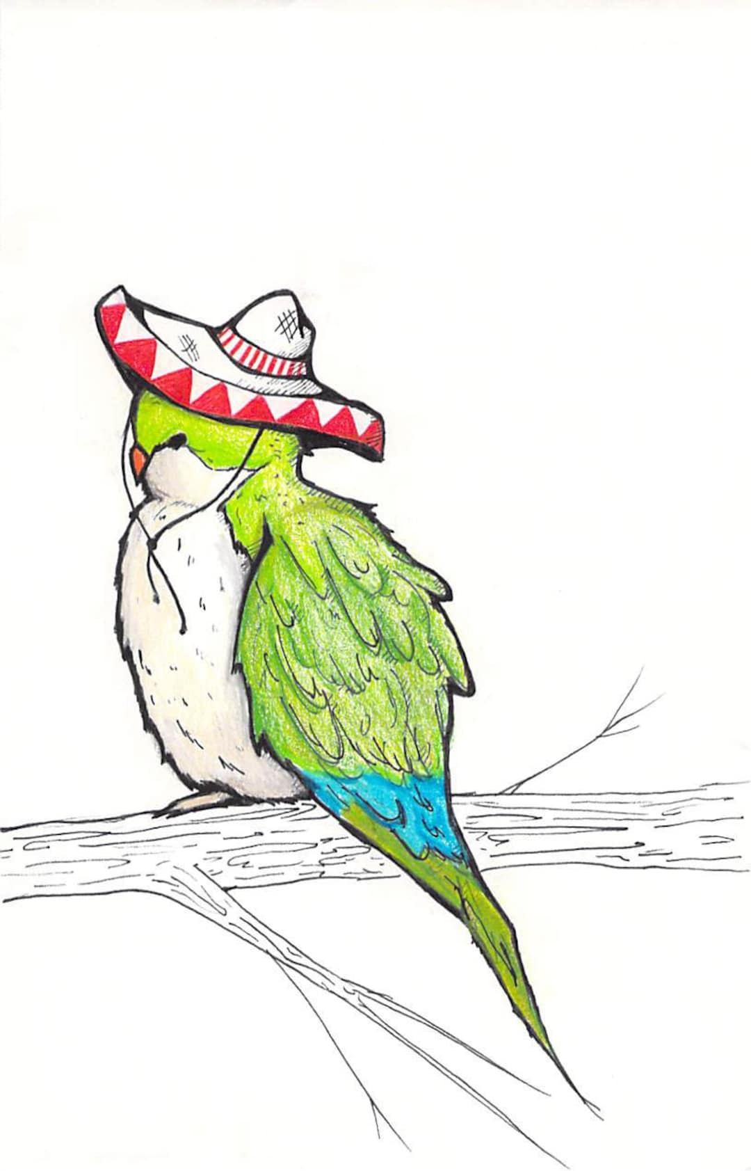 Mystery Birds in Accessories Drawings, Mystery Art, Small Bird Drawings ...