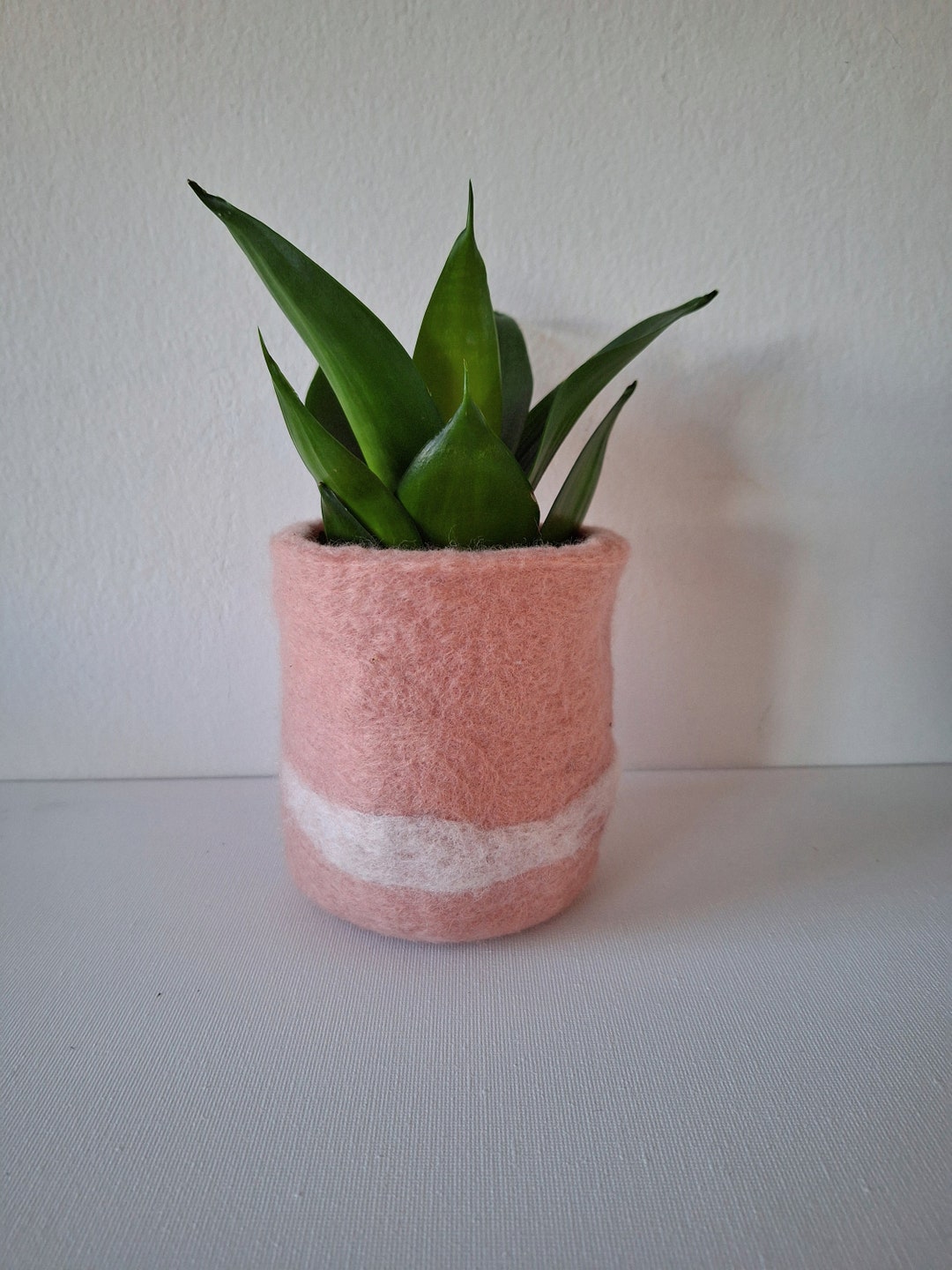 Wool Felted Pot Cover, Golden Rose, Lovely Gift for Mothers Day - Etsy