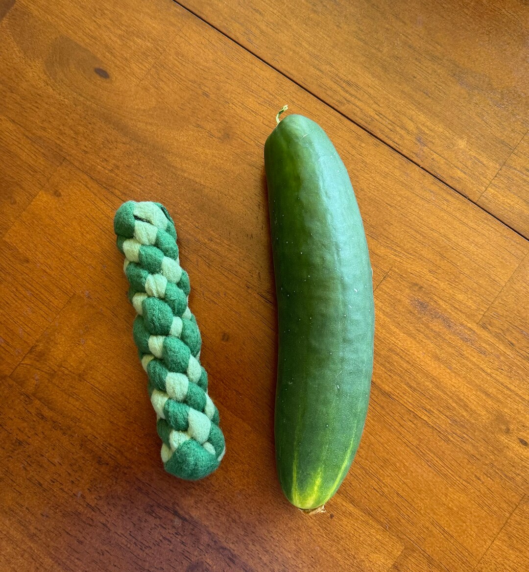 Braided Fleece Pickle Dog Toy - Etsy