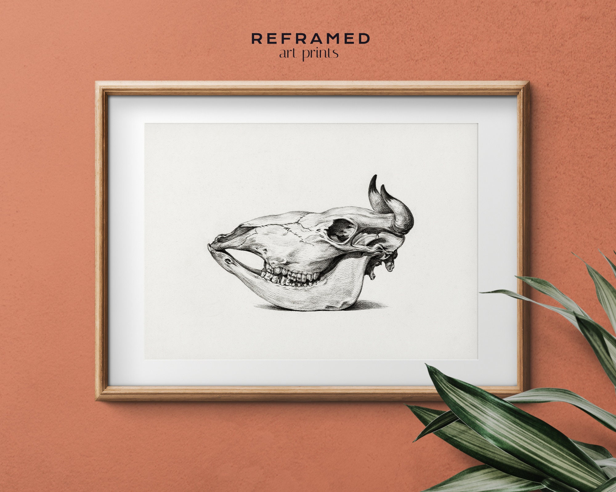 Animal Skull Drawing Digital Download Hand-drawn Skull Art Printable ...