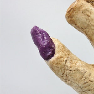 Creepy Halloween Prop: Cut off Hand Display for Haunted House - Etsy