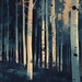Aspen Trees PRINTABLE Artwork | Landscape Art Print | High-resolution ...