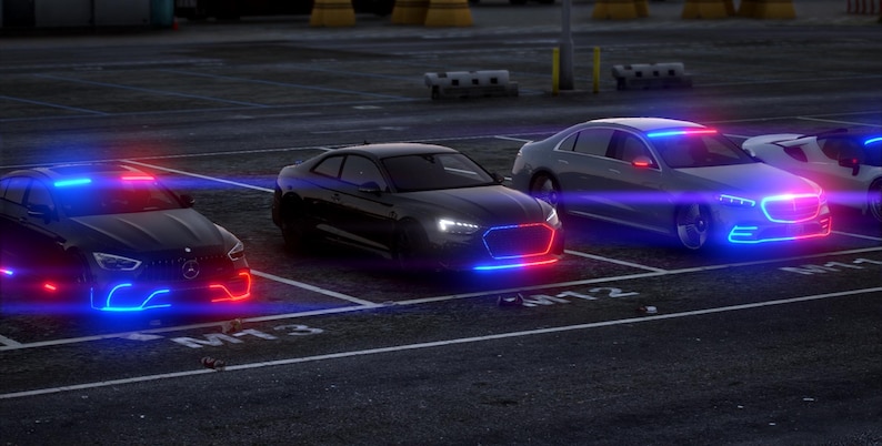 Fivem Animated LEO Car Pack Fivem Ready Optimized High Quality - Etsy ...