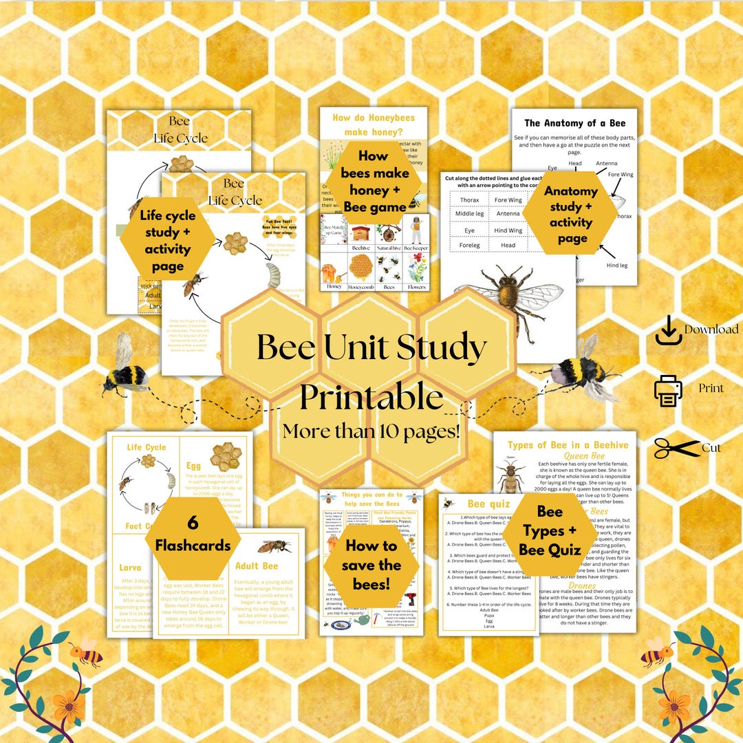 Bee Life Cycle Study Unit: Homeschool Science Printable (A4) Kids ...