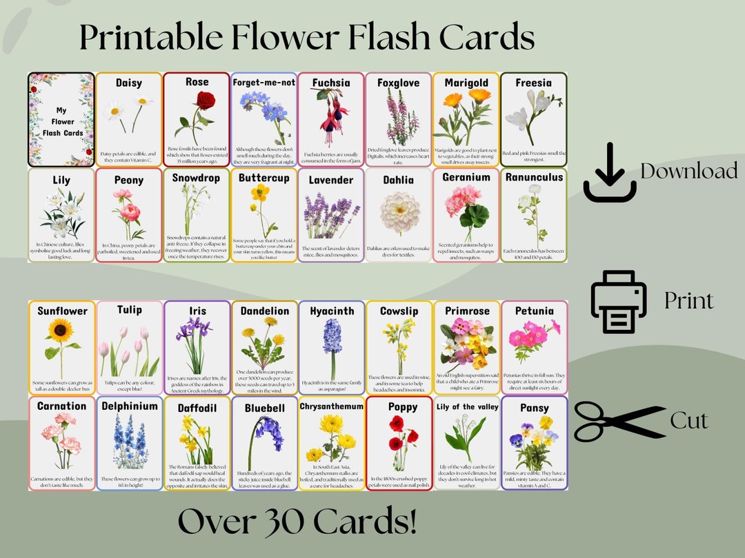 Flower Flash Cards Nature Resources, Instant Printable Download ...