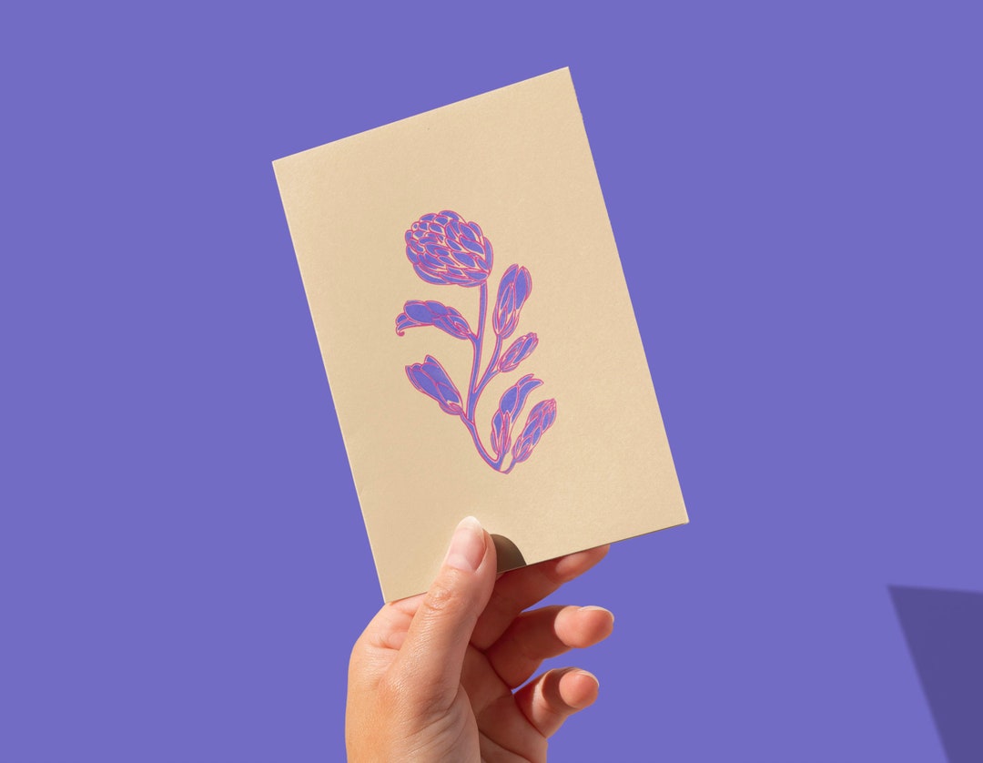 6-pack Sunrise Cards - Etsy