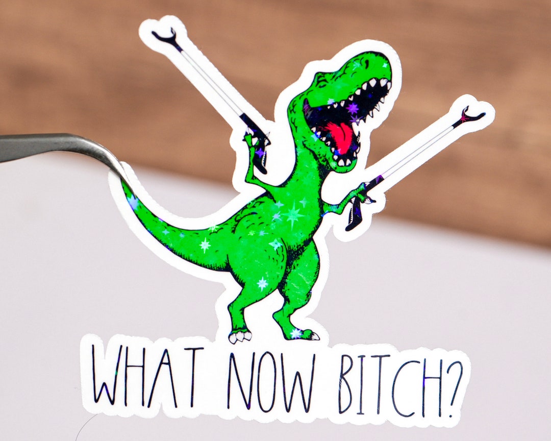 What Now Bi*ch Sticker, Funny Dinosaur Sticker, Humorous Quote, Sticker ...