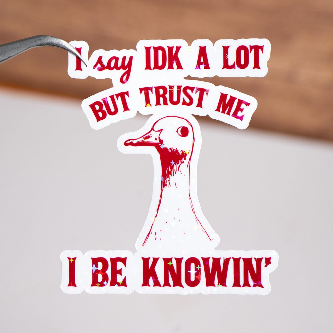 I Say IDK a Lot but Trust Me I Be Knowin Sticker, Silly Goose Sticker ...