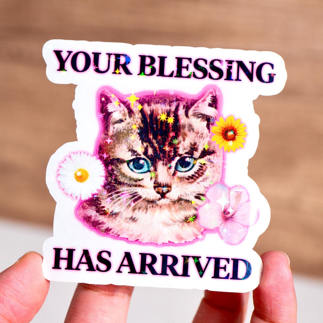 Your Blessing Has Arrived Sticker, Funny Cat Lover Sticker, Cat Mom Cat ...