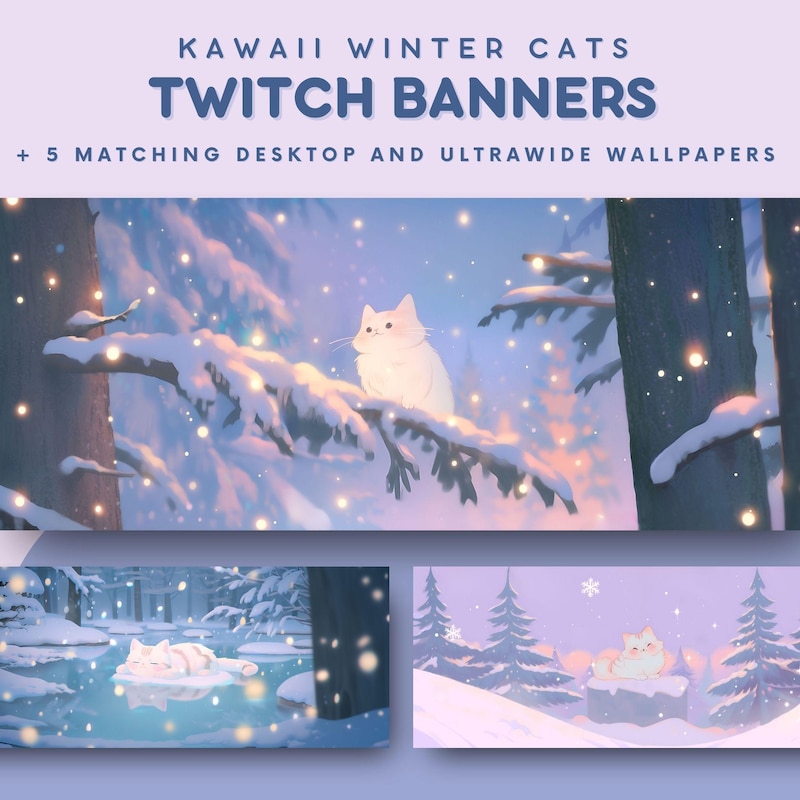 Cat Discord Banner - Etsy