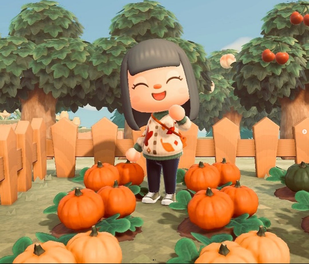 Custom Animal Crossing Drawing Have Your Character Hand Drawn ACNH ...