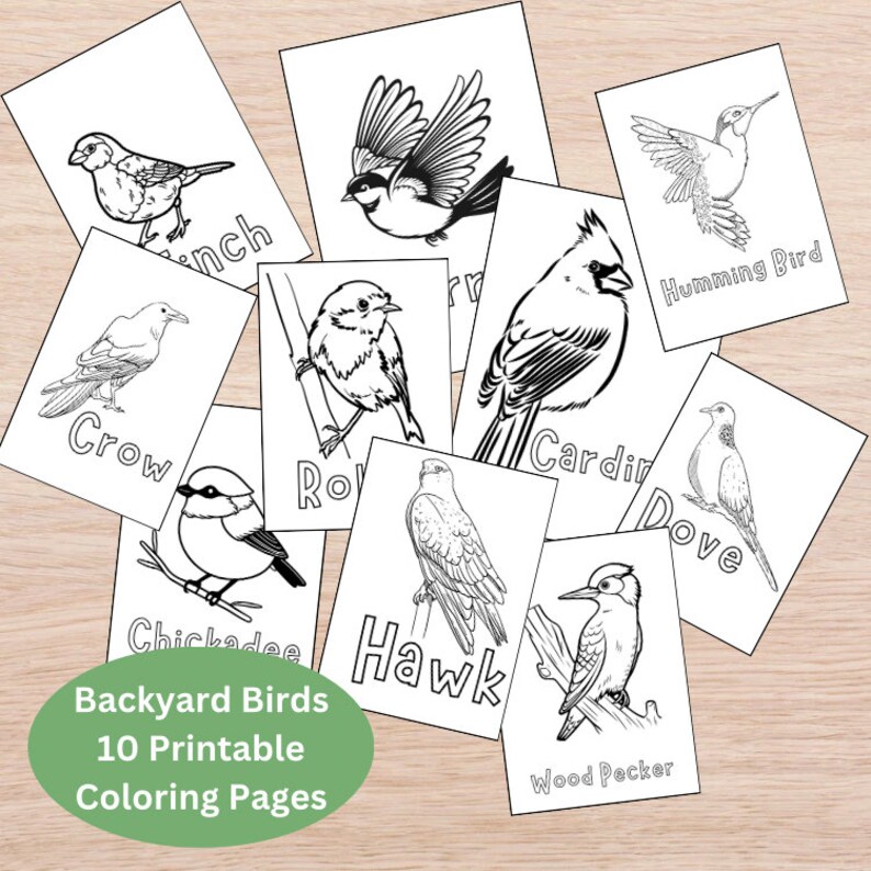 Backyard Bird Themed Coloring Book Printable Digital Download Coloring ...