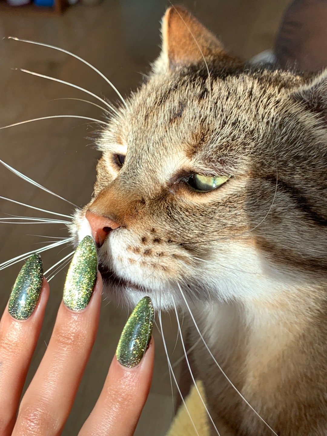 Cat Eye Polish Press on Nails｜premium Gel Hand-crafted Fake Nails ...