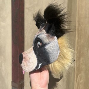 Tanuki / Japanese Raccoon Dog Mask - Etsy