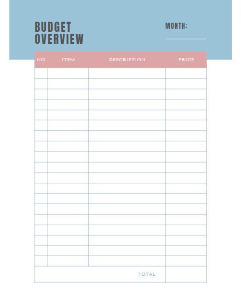 Budget Overview - Printable and Digitally Fillable - Etsy