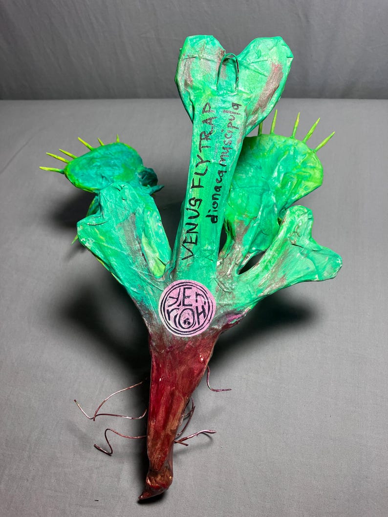 Paper Mache Wall Art Venus Flytrap Plant - Etsy