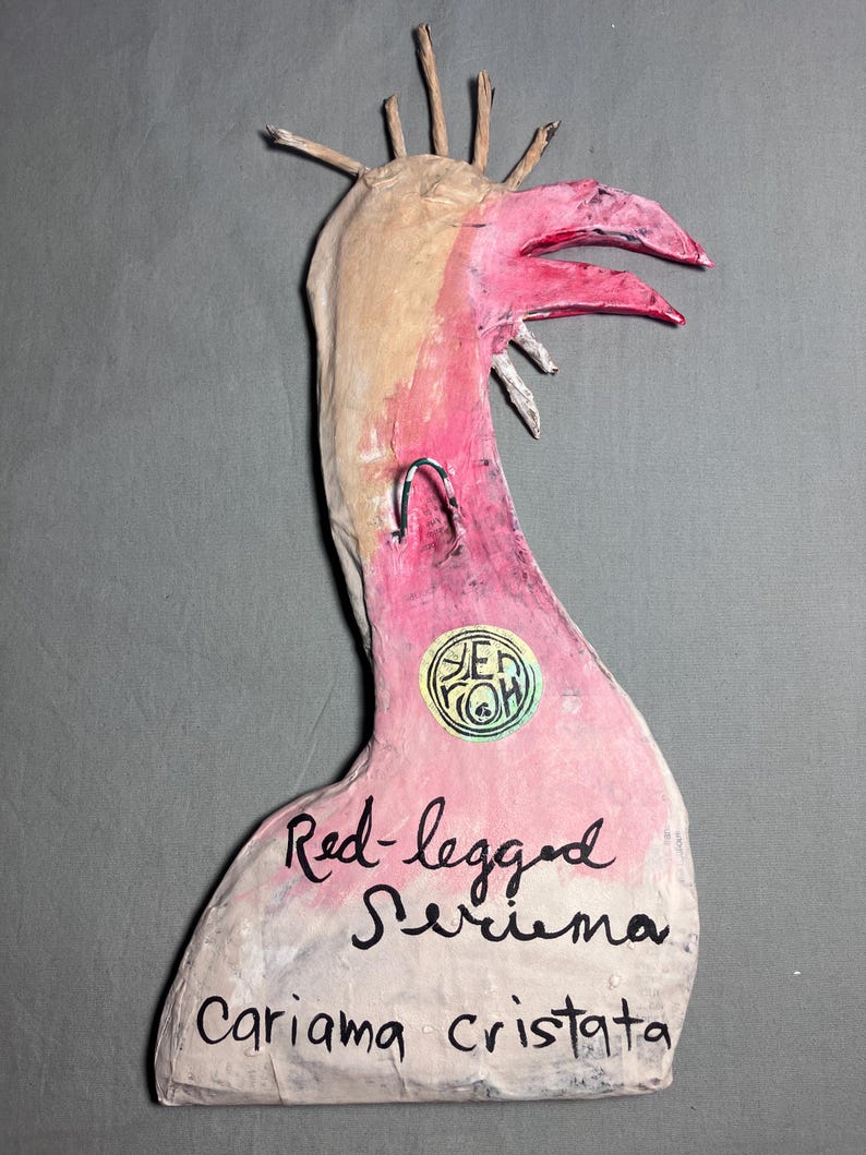Paper Mache Red-legged Seriema Bird Wall Art - Etsy