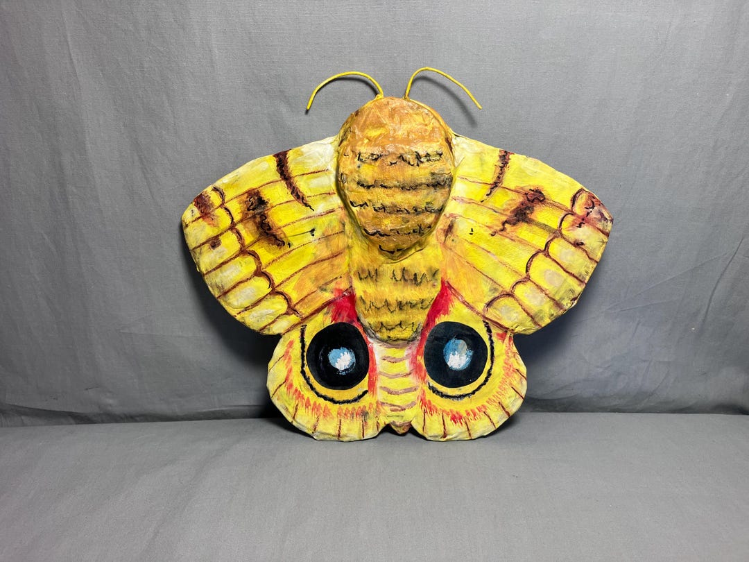 Paper Mache Wall Art Io Moth - Etsy