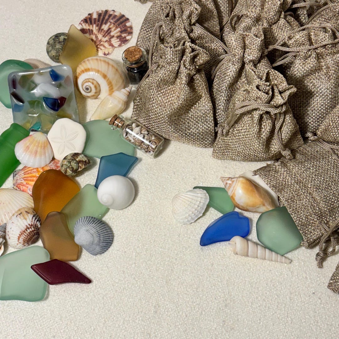 Beach Treasures Advent Calendar – Coastal Holiday Countdown, Seashells ...