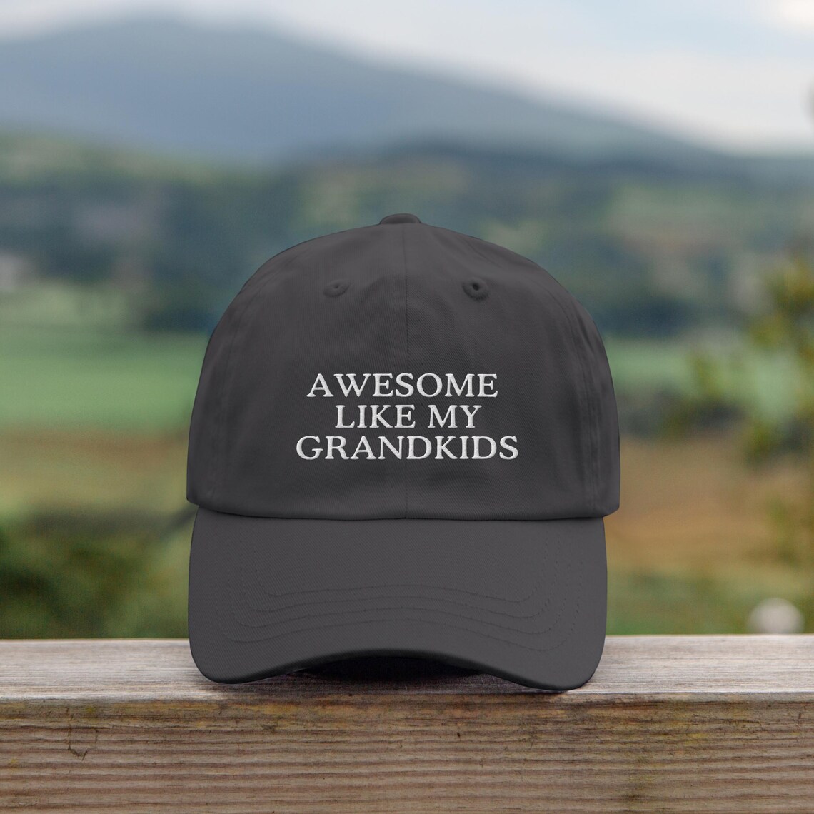 Awesome Like My Grandkids Hat, Embroidered Hat, Grandparent Gifts for ...