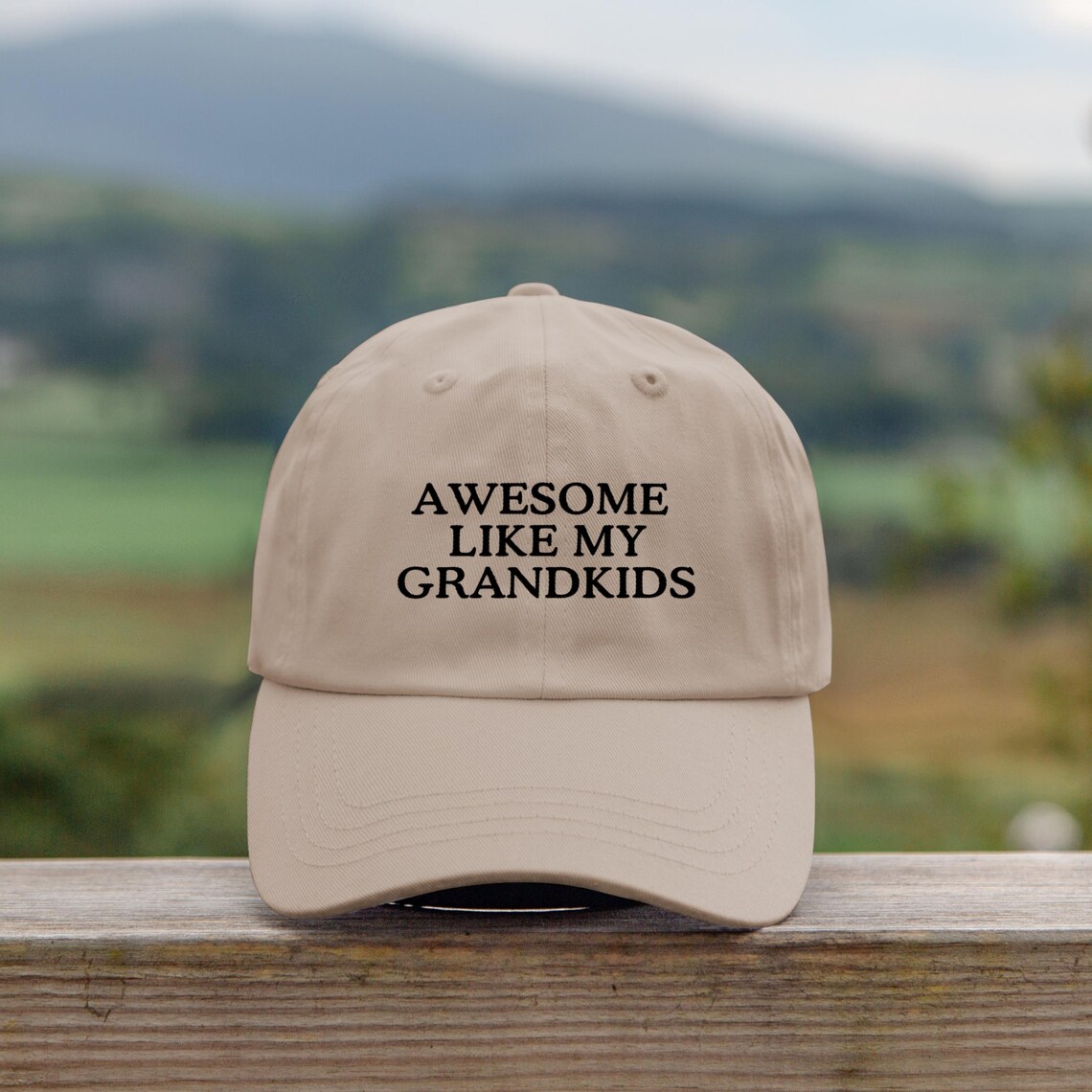 Awesome Like My Grandkids Hat, Embroidered Hat, Grandparent Gifts for ...