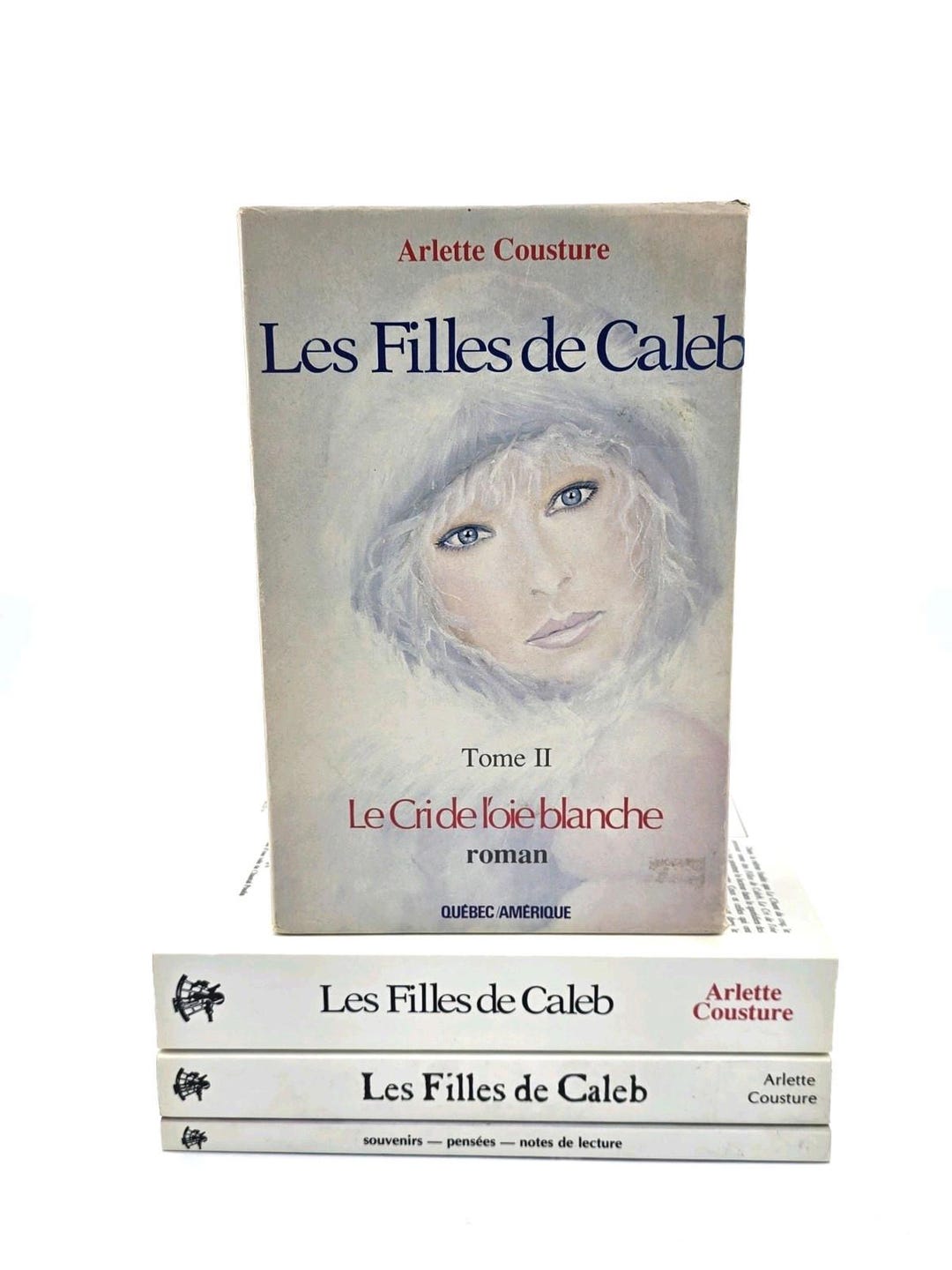 The Daughters of Caleb Box Set – Volumes 1 & 2 + Notebook – Arlette ...