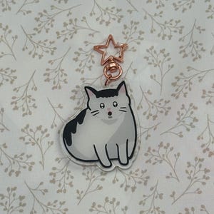 Cat Meme Keychain Charms - Cat Memes, Funny Cats, Cats, Huh Cat, Pop ...