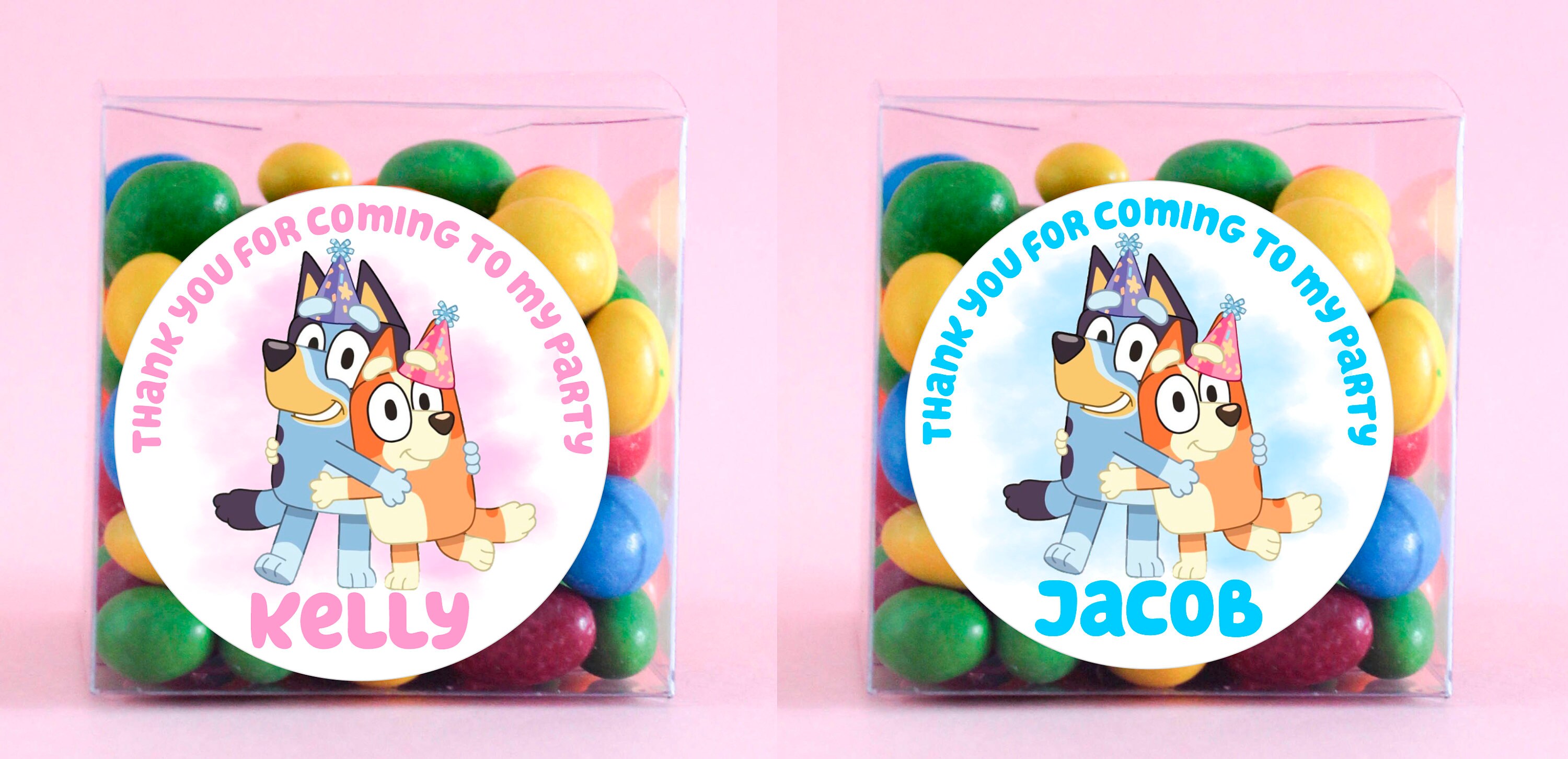 Personalized Bluey Theme Stickers With Name 2 Diameter Custom Glossy ...